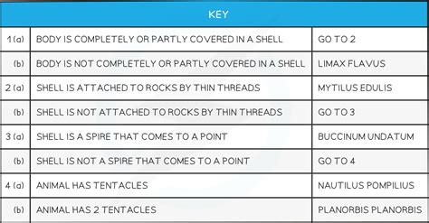 Use Of Classification Systems Igcse Biology Revision Notes