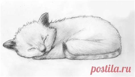 Рисуем милого котёнка — Сделай сам идеи для творчества Diy Ideas Детки Постила