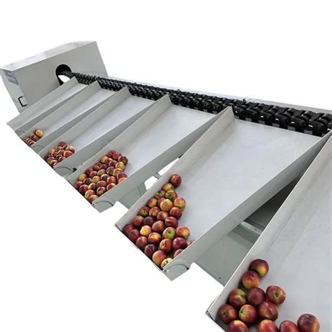 Fruit And Vegetable Sorting Equipment With Multiple Specifications And