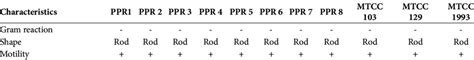 Morphological Physiological And Biochemical Characters Of Pseudomonas Download Table