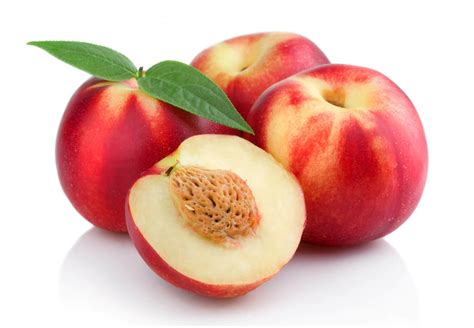56 Nectarine Varieties An Overview With Pictures House Grail