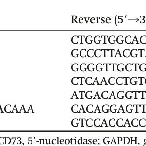 Primer Sequences And Annealing Temperatures Download Table