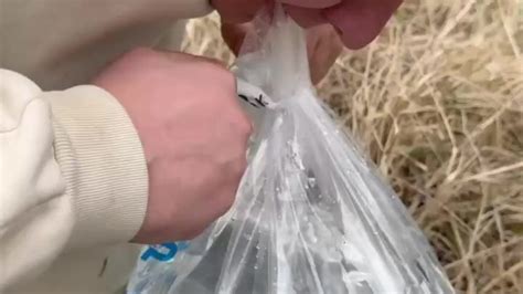 Survival Bushcraft Skills Camping Lifehacks Outdoors Forest Asmr