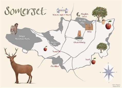 My Project For Course Illustrated Map Creation Reflecting A Citys