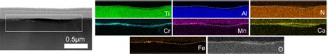 stem haadf micrograph and corresponding eds chemical maps from region 2
