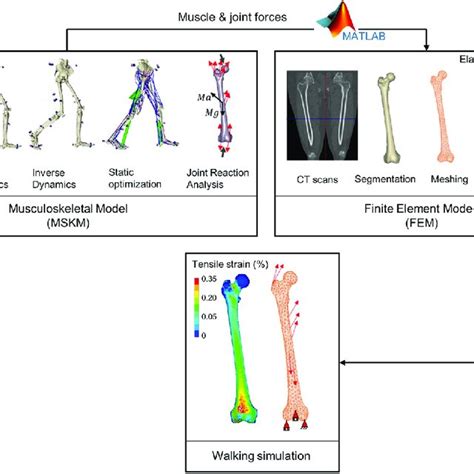 Multiscale Modelling Workflow Diagram Illustrates The Various Steps Of