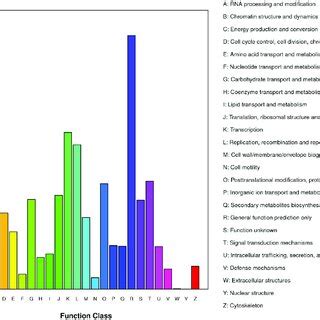 COG Function Classification By BLASTx With An E Value Threshold Of 10 Download Scientific