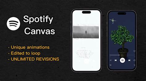 Create A Unique Spotify Canvas Using Mixed Media Animation By Esaiag