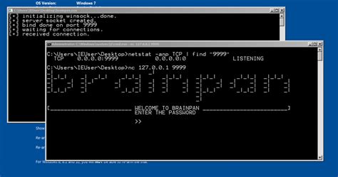 Ctf Brainpan 1 Ctf Walkthrough Introduction To Exploit Development Part I D7xs Blog