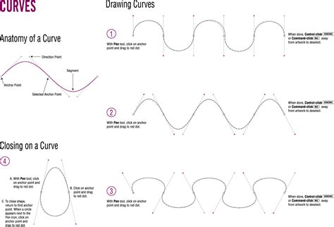 Lindsey Benoit Curves Template