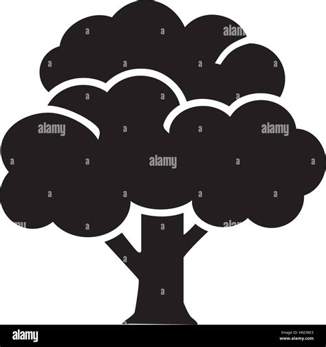 Broadleaf Tree Vector Vectors Hi Res Stock Photography And Images Alamy