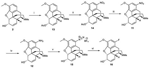 Synthesis And Modification Of Morphine And Codeine Leading To Diverse Libraries With Improved