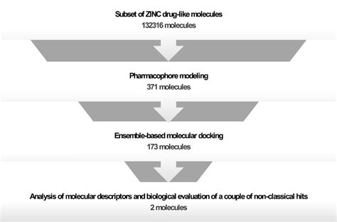 Schematic Representation Of The Steps Along The Virtual High Throughput