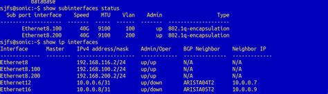 Subinterface Subport Error Switch Crashing · Issue 714 · Sonic