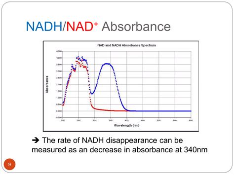 Lactate Dehydrogenase Assays Pptx