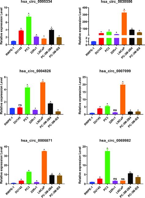 The Expression Of Circrnas In Pca Cells The Expression Of