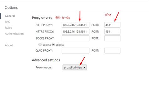 Hướng Dẫn Sử Dụng Proxy Cách Dùng Proxy Helper Và Fplus