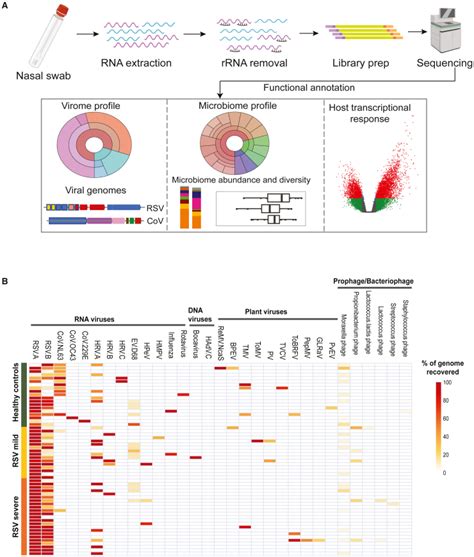 Metatranscriptomics To Characterize Respiratory Virome Microbiome And Host Response Directly