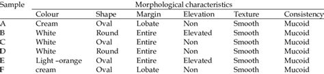 Morphological Characteristics Of Isolated Yeasts Download Table