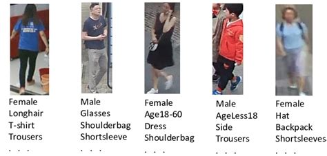 examples of pedestrian attributes in real scenarios download