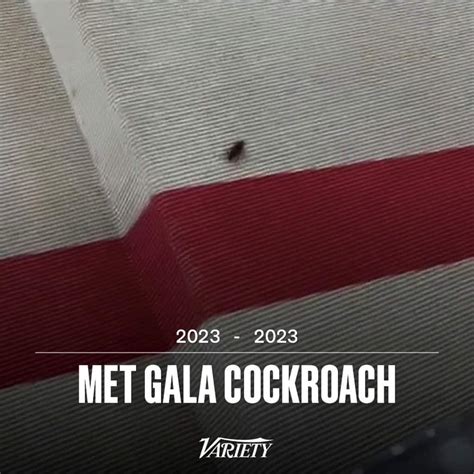 This Years Met Gala Star Was An Actual Cockroach