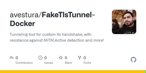 Github Avestura Faketlstunnel Docker Tunneling Tool For Custom Tls Handshake With Resistance