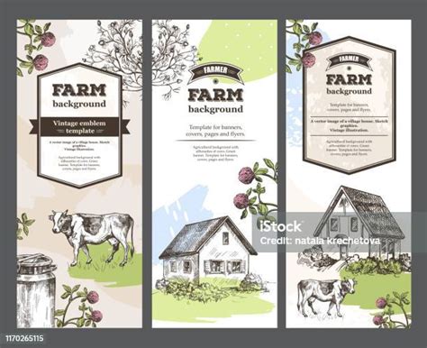 농업 배너 세트입니다 농업 배경 빈티지 일러스트 그래픽 을 스케치합니다 0명에 대한 스톡 벡터 아트 및 기타 이미지 0명 건물 정면 건축 Istock