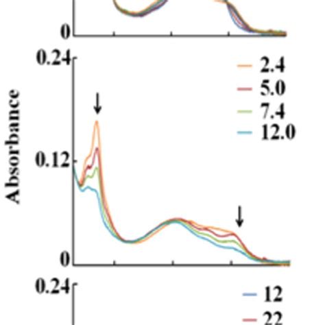Diode Array Rapid Scanning Spectra For The Intermediates And Corrin