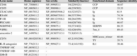 Amino Acid Sequence Alignment Of Endothelium Derived Inhibitory Download Scientific Diagram