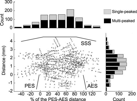 Spatial Locations Of Single And Multi Peaked Neurons With Corresponding Download Scientific