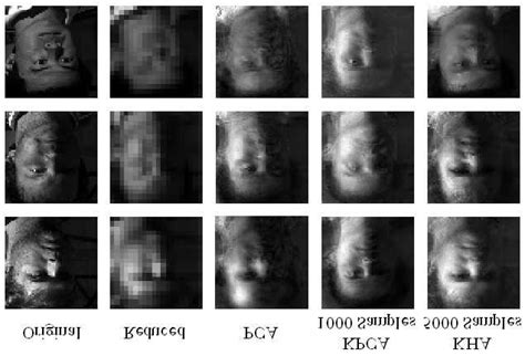 Face Reconstruction Examples Obtained From Kpca And Kha Trained On