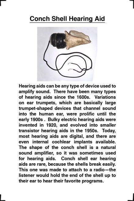 Conch Shell Hearing Aid From The Museum Of Interesting Things R Hearing