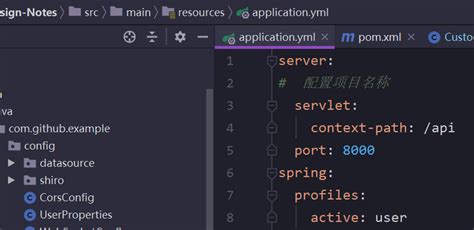 告别花里胡哨但是没有这些插件的idea是不完整的idea Shirotelin Csdn博客