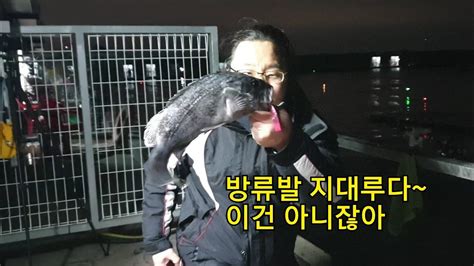 석현아빠의낚시이야기 투톤오징어미끼로 우럭밤낚시 Youtube