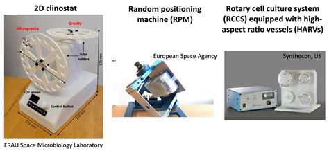 Methodologies To Simulate Microgravity For Microbial Experiments Molecular Biology And