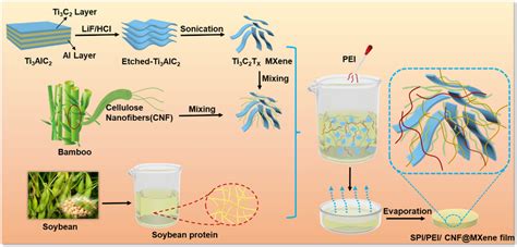 Schematic Illustration Of The Preparation Process Of Spi Pei Cnf Mxene Download Scientific