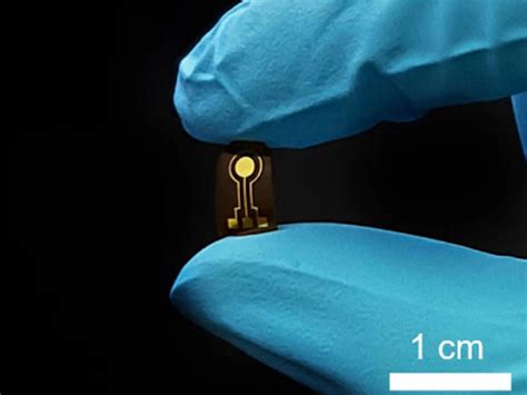 Novel Implantable Sensor Sniffs Out Possible Signals Of Osteoarthritis Psu Institute For