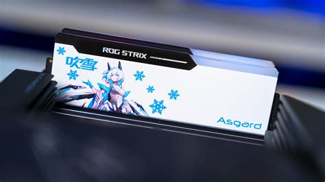 مراجعة ذواكر Asgard Bargi ROG STRIX RGB DDR5 6400Mhz HDR247