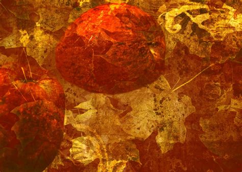 100 Free Apple Texture And Texture Images Pixabay