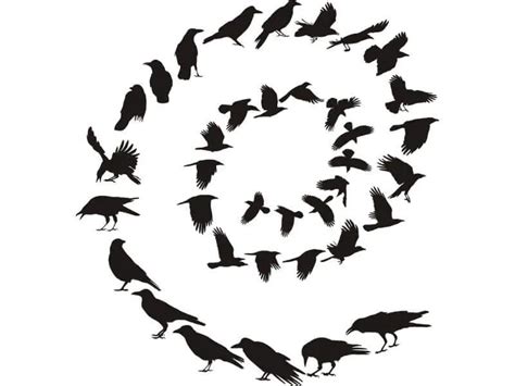 The Celtic Crow Tattoo Meaning Symbolism Mythology And More