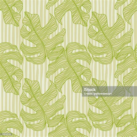 심플한 몬스터나 양식에 일치시키는 프린트 매끄러운 패턴 녹색 윤곽 장식과 회색 줄무늬 배경이국적인 야자 단풍 프린트 0명에 대한 스톡 벡터 아트 및 기타 이미지 Istock