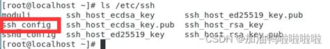 ssh服务 sshd 配置文件路径 csdn博客