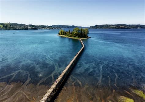 What Is The Recursive Island Phenomenon And What Is The Most Surprising Example On Our Planet