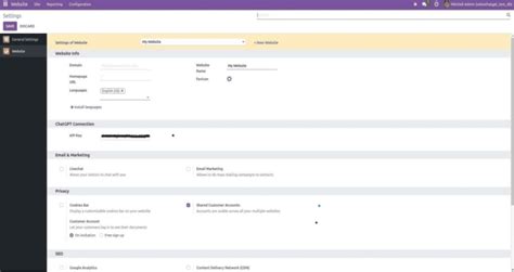 Odoo Chatgpt Integration Open Ai Chatbot In Odoo17
