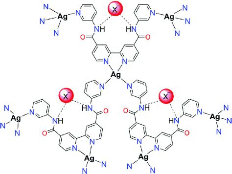 The Proposed Structure Of The Coordination Polymer 3Áagx N X No 3 Download Scientific