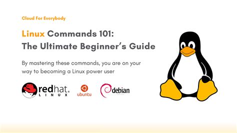 Linux Commands 101 The Ultimate Beginners Guide By Aliyan Shaikh
