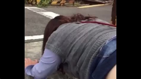 Japanese Public Xxx Mobile Porno Videos Movies IPornTV Net