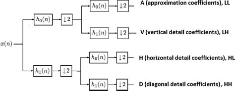 Wavelet Transform To Input And Its Resulting Output Addison2017 Download Scientific Diagram