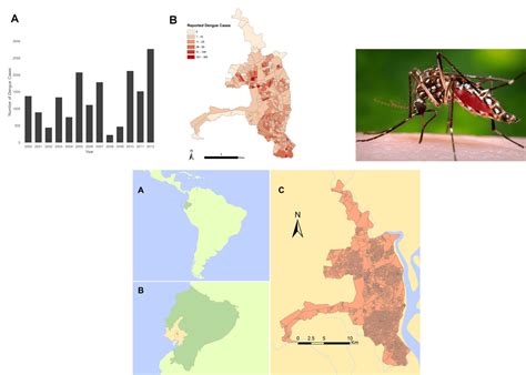 The Social And Spatial Ecology Of Dengue Presence And Burden During An