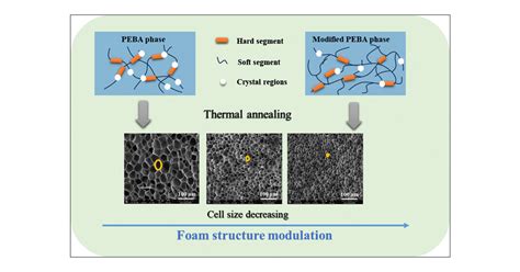 Cell Structure Variation Of Long Chain Branched Polyether Block Amide
